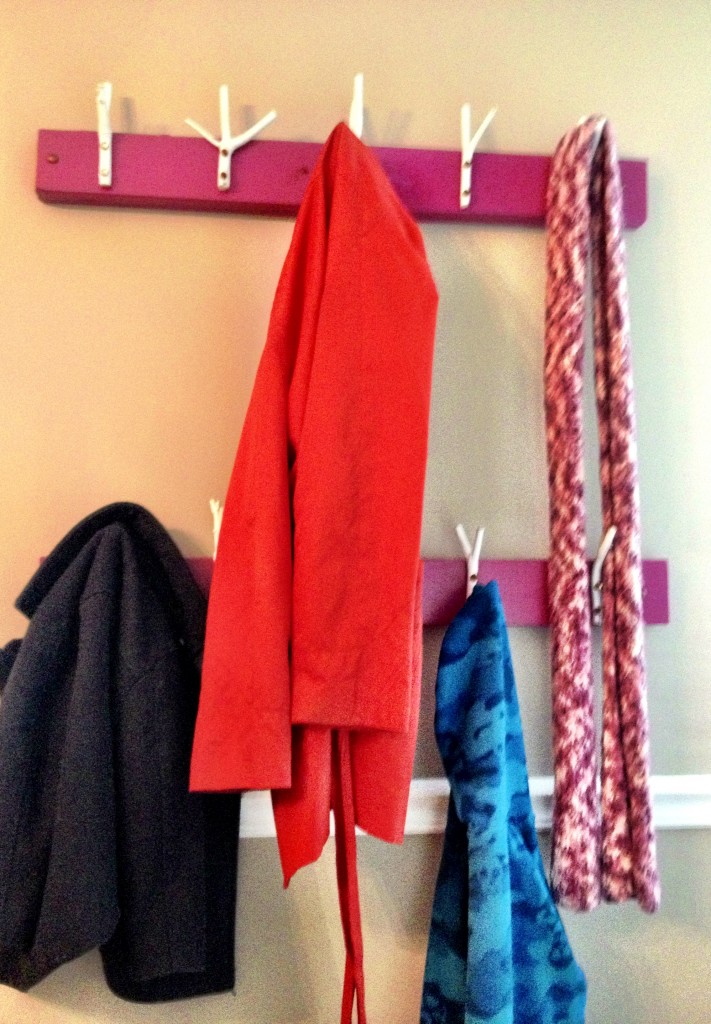 DIY Coat Hangers...inspired By Nature