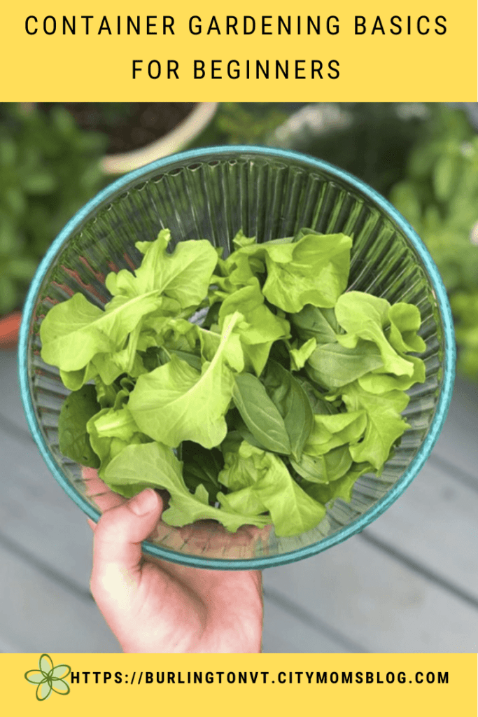 Container Gardening Basics For Beginners