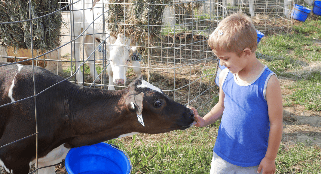 Vermont Breakfast On The Farm: Shining A Light On Local Dairy Traditions