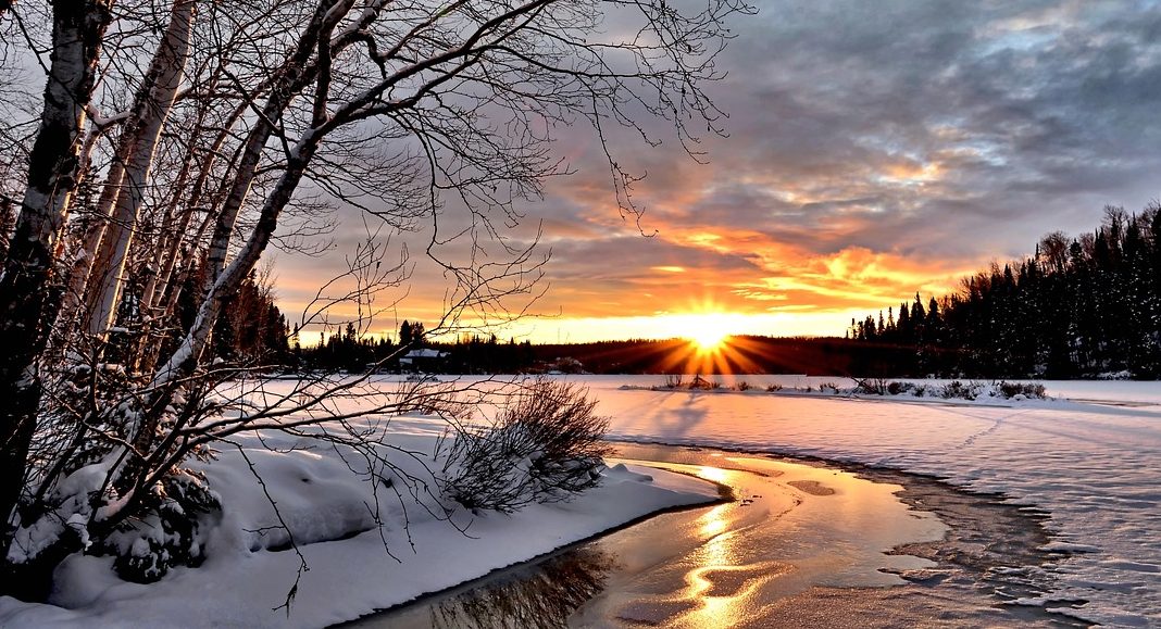 Survive And Thrive In The Cold Winter