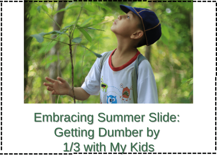 Embracing Summer Slide: Getting Dumber By 1/3 With My Kids