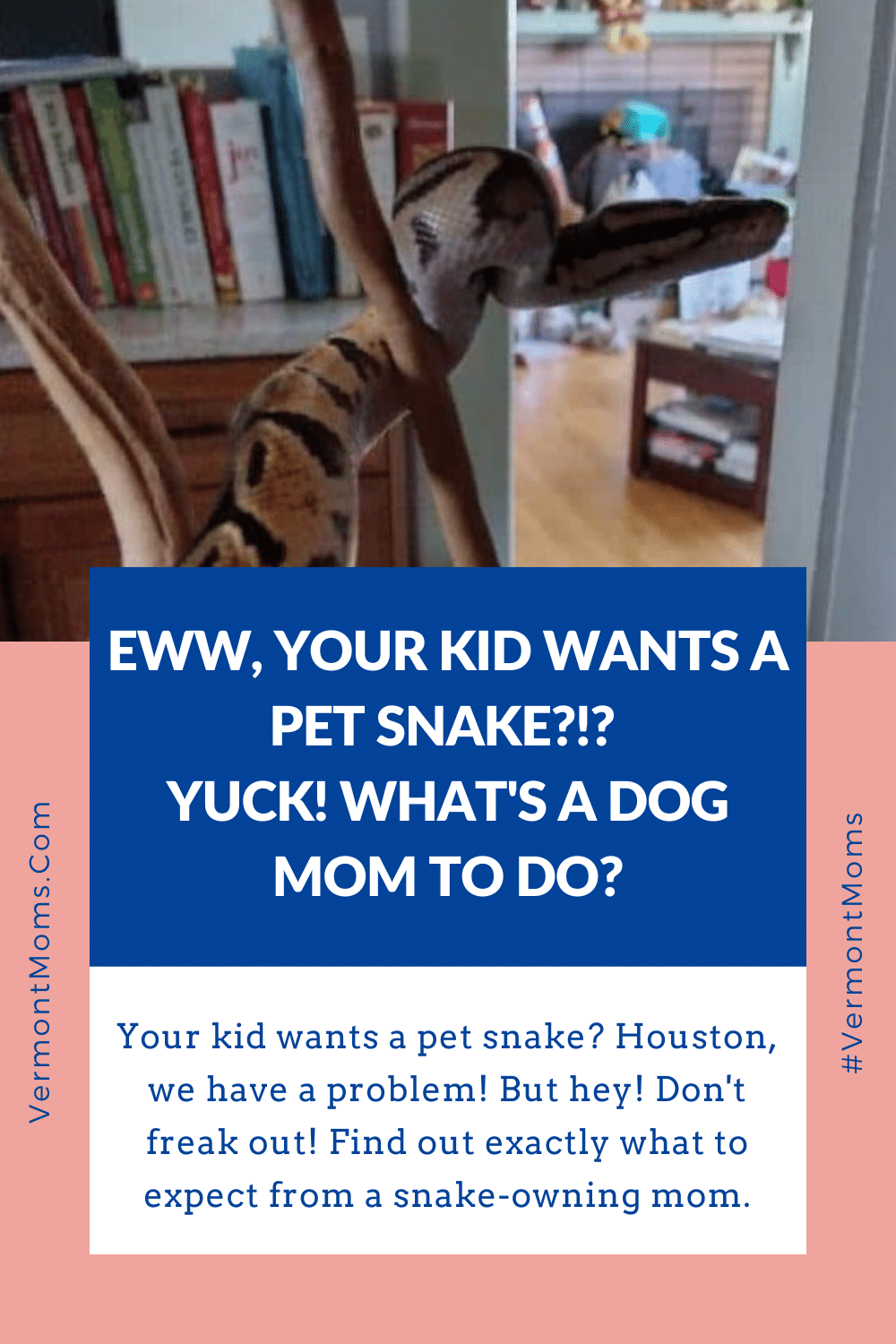 What To Do When Your Kid Wants A Pet Snake